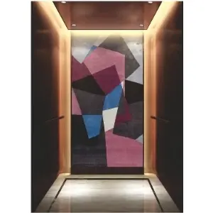 Passenger Elevator FJ-JXA19 – MC Elevator